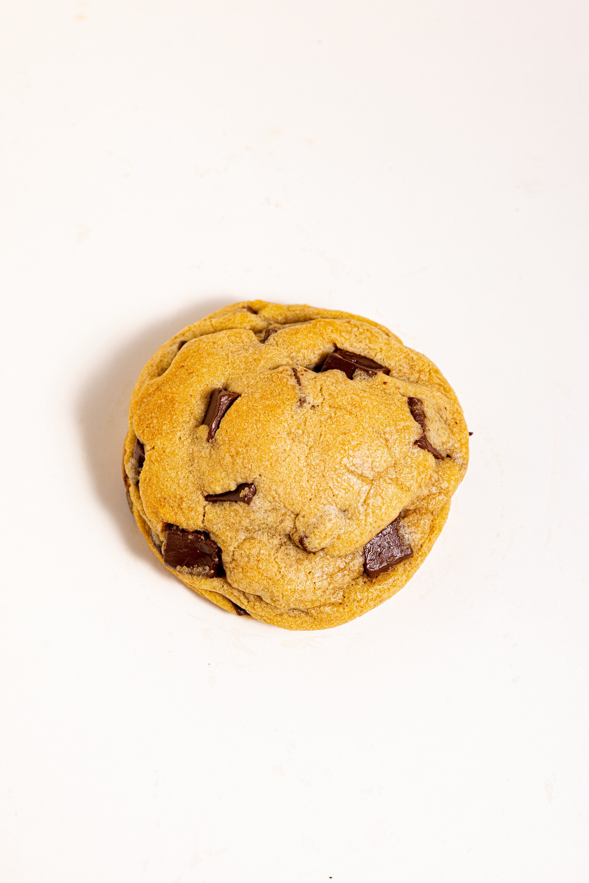 Double Chocolate Chip Cookies | Ashleigh Bakes Daily